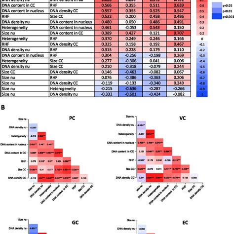 Pearson Correlation Between Parameters In Different Cell Types
