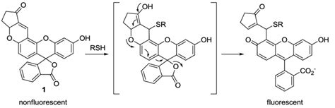 Reaction Scheme For Biothiol Selective Probe 1 Download Scientific