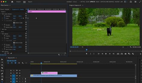 How To Quickly Animate Text With Effect In Premiere Pro Envato Tuts