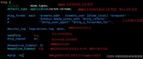 Nginx配置虚拟主机nginx虚拟主机配置 Csdn博客