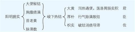 小承气汤 中医济世珍方丛书