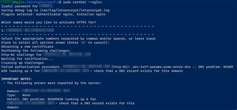 Certbot Dns Issue With Nginx Reverse Proxy For Internal Sites Rhomelab