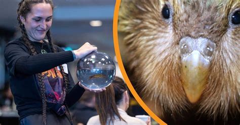 Key Takeaways From New Zealands Community Led Biosecurity Symposium Invasive Species Council