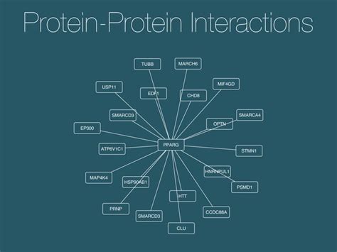 Introduction To Biological Network Analysis And Visualization With Cytoscape Part1 Pdf