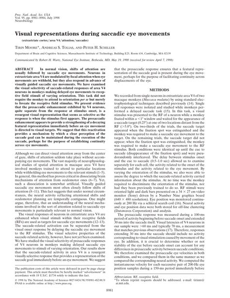Pdf Visual Representations During Saccadic Eye Movements