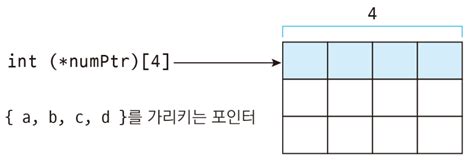 C언어 2차원 배열을 포인터에 넣기