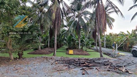 ขายด่วน ที่ดิน บ้าน เนื้อที่ 2 1 95ไร่ สวนมะพร้าว ต บางยาง อ กระทุ่มแบน จ สมุทรสาคร Zion Real