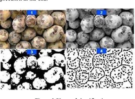 Figure 3 From Classification Of Potato Diseases Using Deep Learning Apprach Semantic Scholar