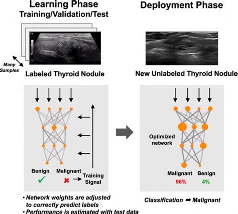supervised learning with deep neural networks download scientific diagram
