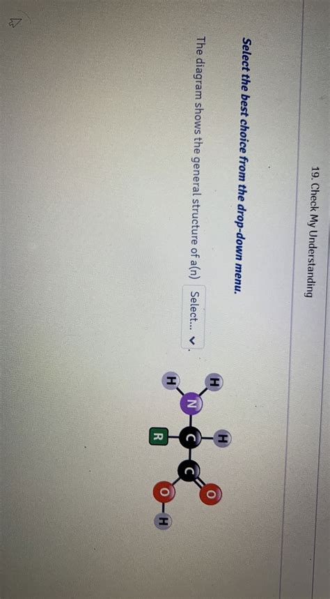 19 Check My Understanding Select The Best Choice From The Drop Down