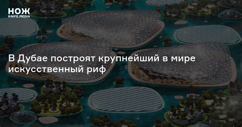 В Дубае построят крупнейший в мире искусственный риф — Нож