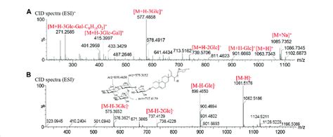 Mass Spectrogram In Positive Negative Mode And Fragmentation Pathways