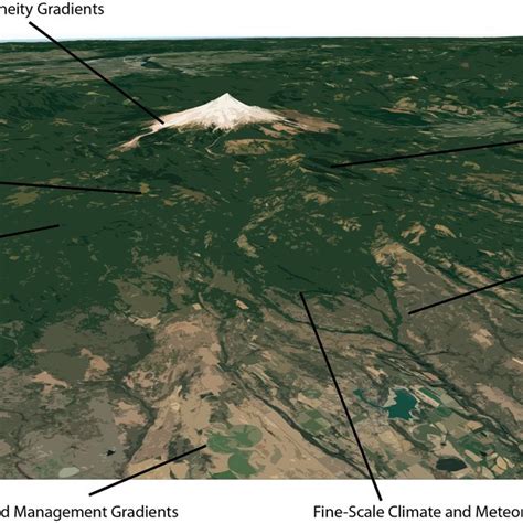 Pdf Perspectives On The Future Of Land Surface Models And The Challenges Of Representing