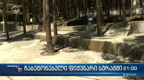ვანდალიზმი სურამში ერთერთმა ადგილობრივმა თვითნებურად ხეები ჩააბეტონა Youtube