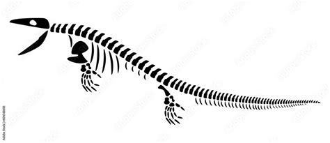 Mosasaurus Skeleton Silhouette Aquatic Dinosaurs Side View Vector