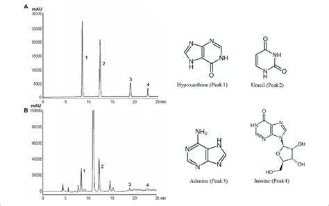HPLC Spectra And Chemical Structures Of These Representative Markers Download Scientific
