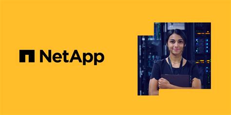 什么是 vmware？ netapp