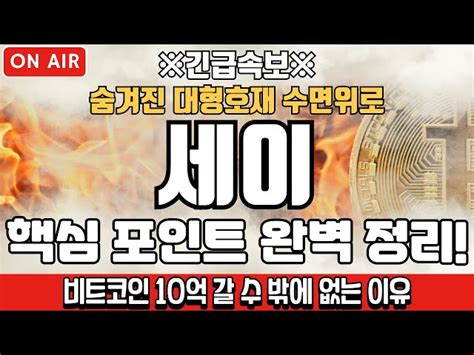 세이 코인분석 핵심 포인트 완벽 정리