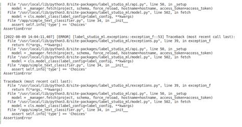 How To Resolve Validation Error On Label Studio Ui · Issue 147