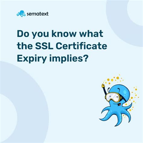 Sematext Group Inc On Linkedin Ssl Sslcertificate Security