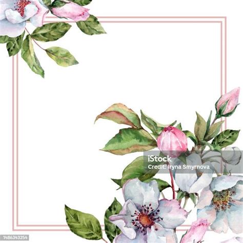 정사각형 꽃 프레임입니다 야생 장미 사과 꽃의 봄 꽃 가지 축제 구성 손으로 그린 수채화 그림은 청첩장 카드 배너를 위해 흰색 배경에 분리되어 있다 각도에 대한 스톡 벡터