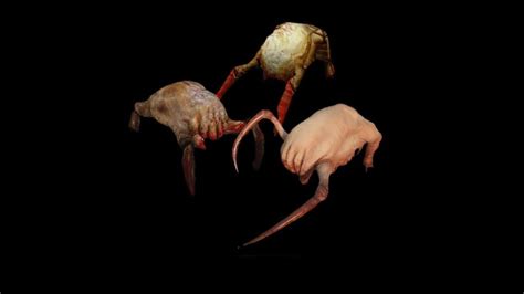 Which One Is The Best R Halflife