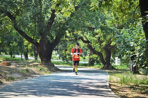 基层风采山东德州夏津县冠军领跑 400余名跑者体验古桑树林间奔跑