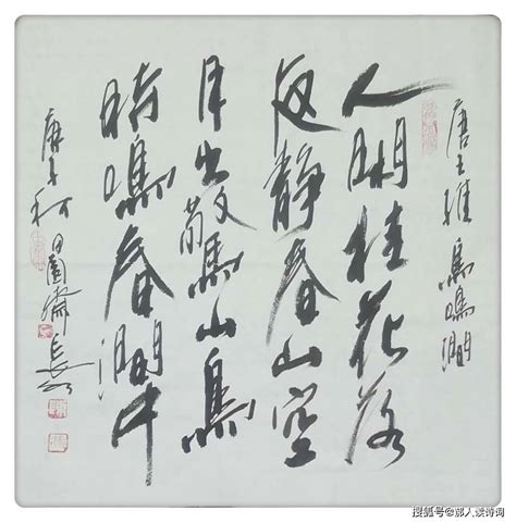 【书写经典】第10期——唐·王维《鸟鸣涧》书法