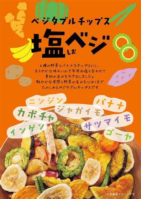 伊豆井田塩 研究所ベジタブルチップス 塩ベジ