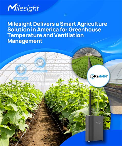 Milesight Iot On Linkedin Milesightcase Iot Greenhouse Lorawan Ventilation