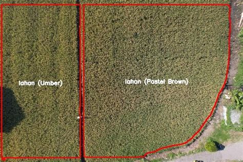 Dennis Hilmansyah On Linkedin Object Detection Using Yolov8 With Polygon Labeling And Color