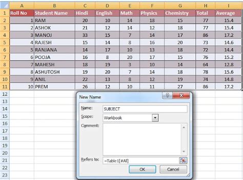 what is name manager option in excel and its use in hindi
