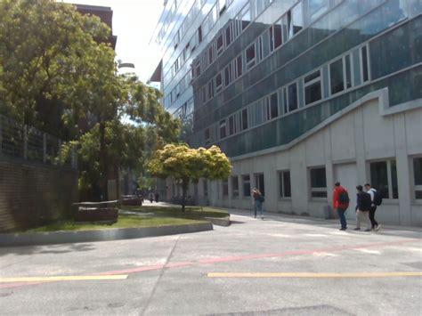 Detectrontraining Instance Segmentation Dataset By Uni