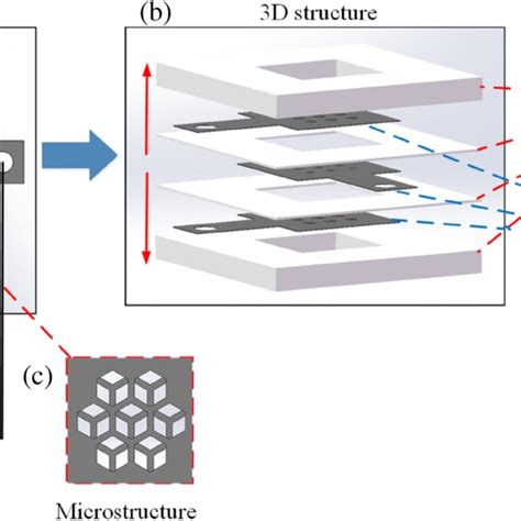 Cell Patterning Experiment At Voltages Of 5 V A And 20 V B In 10