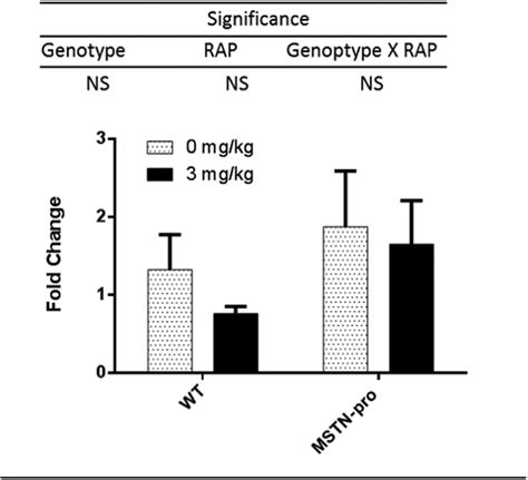 Expression Of MSTN In Wild And MSTN Pro Type Mice As Affected By RAP Download Scientific