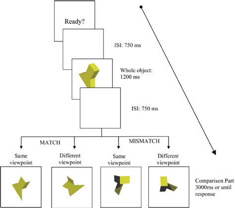 The Trial Procedure Isi Interstimulus Interval To View This Fi Gure