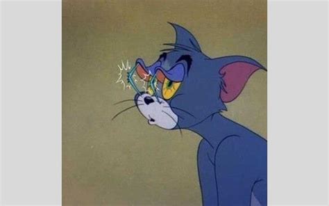 T Ng H P B Meme Tom And Jerry H I H C B A Ng Y U Cute T C Gi N