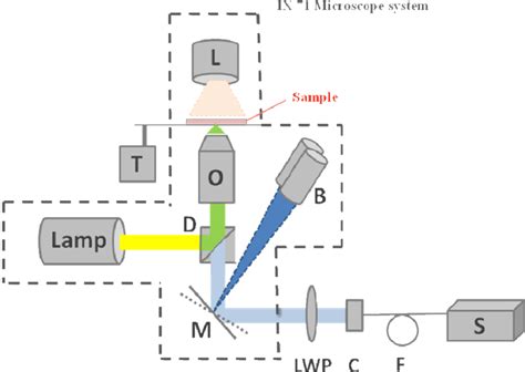 Schematic Of The Dynamic Spectral Imaging System Lamp Hg Lamp D Download Scientific Diagram