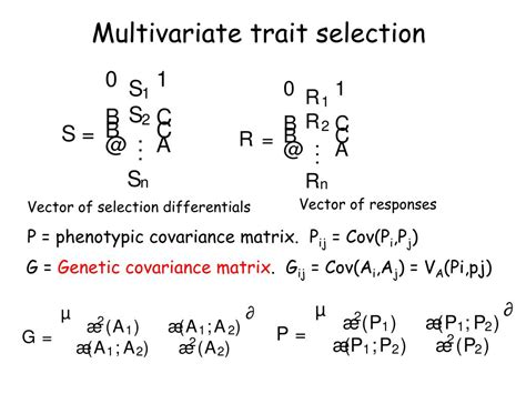 Ppt Constraints On Multivariate Evolution Powerpoint Presentation Free Download Id 3599970