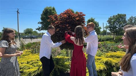 4 червня День вшанування памяті дітей які загинули внаслідок збройної агресії РФ проти