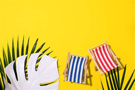 노란색 종이 배경에 하드 그림자 몬스터와 야자수 잎두 갑판 의자 플랫 레이및 복사 공간 여름 여행 휴가 개념입니다 최소 구성 0명에 대한 스톡 사진 및 기타 이미지 Istock