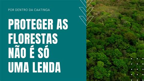 Proteger As Florestas Não é Só Uma Lenda Youtube