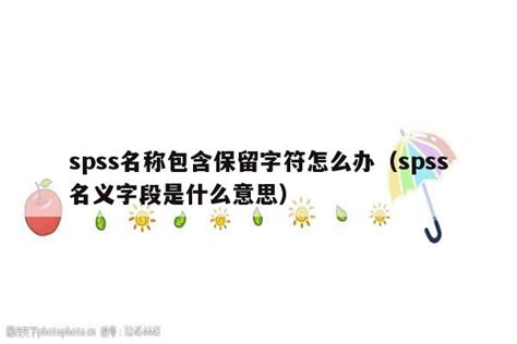 Spss名称包含保留字符怎么办（spss名义字段是什么意思） 卓智网络工作室