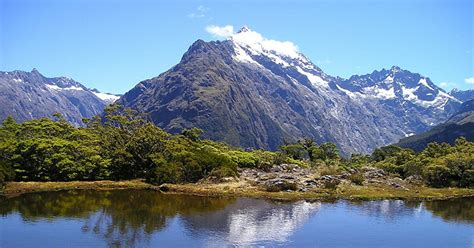 Нова Зеландія відкриває кордони названі дати Новости Section Ukr Net