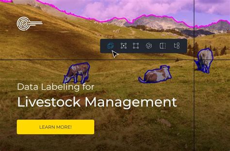 Data Labeling For Deep Learning A Comprehensive Guide Keylabs