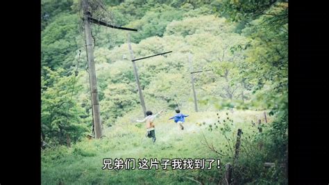 日本电影《怪物》高清中字百度网盘资源找到了 馆长por 馆长por 哔哩哔哩视频