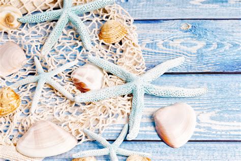 여름 배경 휴가 컨셉 여름 푸른 배경에 불가사리가있는 조개 공간을 복사합니다 위에서 볼 수 있습니다 텍스트에 배치합니다 개념에 대한 스톡 사진 및 기타 이미지 Istock