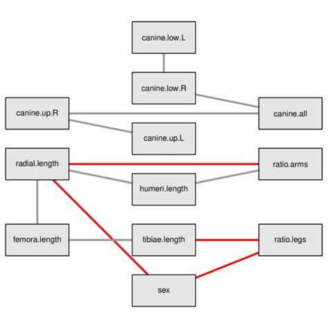 Model Cluster Network The Depicted Cluster Network With Three Download Scientific Diagram