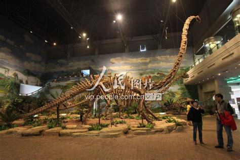 探访四川自贡恐龙博物馆 人民图片网