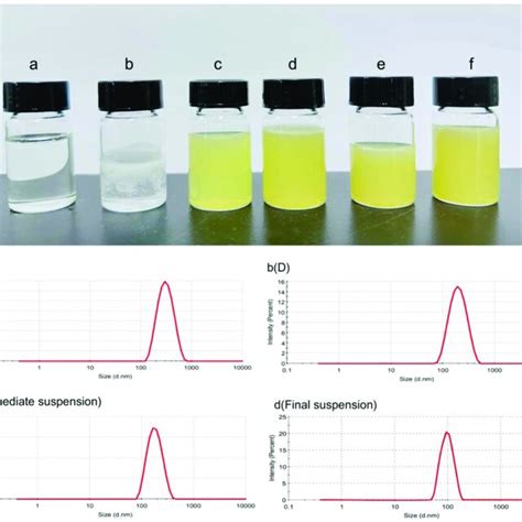 Appearance And Particle Size Characterization Of The Solution During Appearance And Particle Size Characterization Of The Solution During
